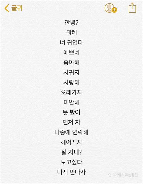 언니가 알려주는 꿀팁 흔한 연애의 시작 그리고 끝