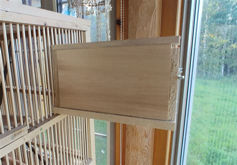 Parakeet Nest Box Etsy