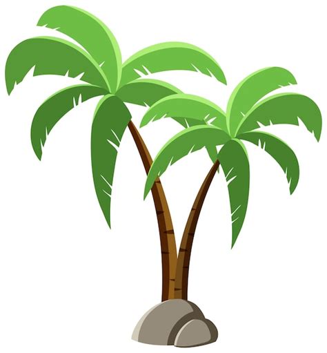 Árbol De Coco Aislado Vector Vector Premium