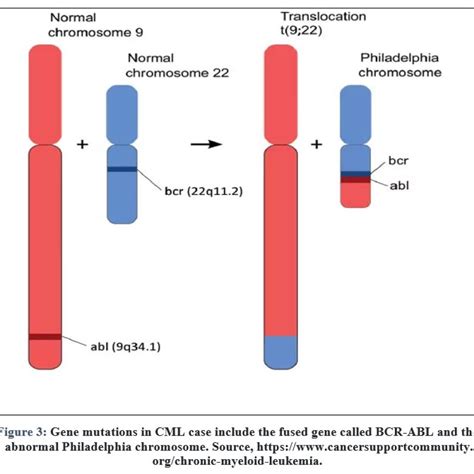 Overview Of Molecular Quantification Of The Bcr Abl Oncogene In Cml Patients Biosciences
