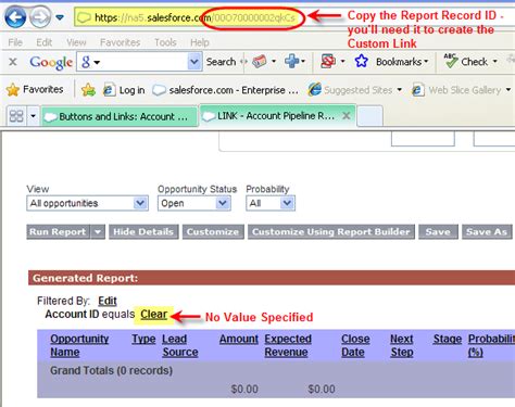 dynamic report generation for any object via custom report links sfdc
