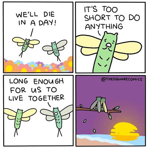 30 “the Square Comics” For People Who Enjoy A Dark Sense Of Humor New Pics Bored Panda