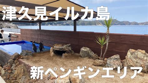 津久見イルカ島の新ペンギンエリア YouTube