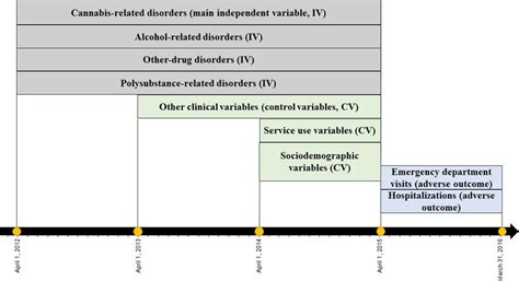 Flowchart Of Sample Timelines And Variables Assessment Download