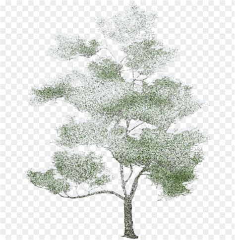 Detail Photoshop Tree Png Koleksi Nomer 50