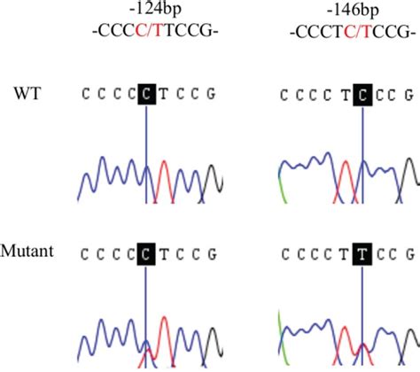 Telomerase Reverse Transcriptase Promoter Mutations In Hepatitis B