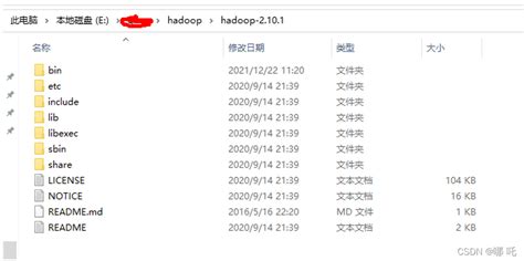 Java Lang Noclassdeffounderror Could Not Initialize Class Org Apache Hadoop Hdfs Dfsut Csdn博客