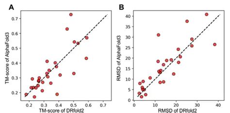 新加坡国立大学张阳团队开发第二代 Rna 结构预测算法，多项基准测试超越 Sota 超神经hyperai Segmentfault 思否