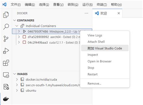 Vscode远程连接远程主机上的docker —— 设置命令 —— P 50015001 Angrypanda 博客园