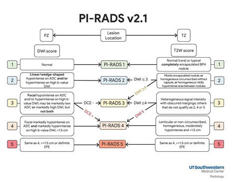 The Basics Of Pi Rads Scoring And How Ai Can Help 43 Off