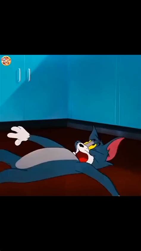 ‎توم وجيري‎ Samoo4382 • Instagram Photos And Videos