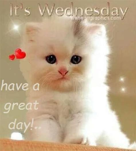 Pin By Brenda Wilson Heaton On Wednesdays Good Morning Wednesday