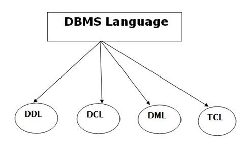 Database Language