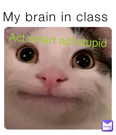 My Brain In Class Act Smart Act Stupid Forgotengirl Memes
