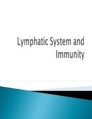 Chapter Lymphatic System Complete Ppt Forms Part Of The Immune