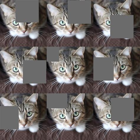 NumPyでの画像のData Augmentationまとめ kumilog net