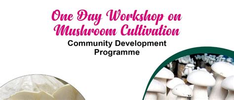 One Day Workshop On Mushroom Cultivation Kumbalathu Sankupillai