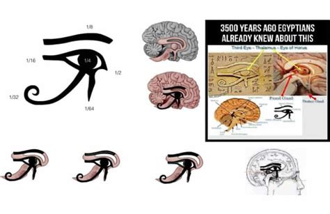 Whats Your Third Eye How To Open It The Conscious Vibe
