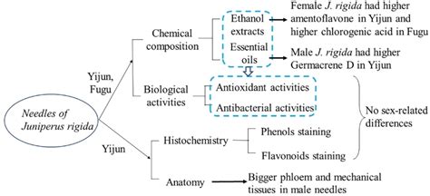 Sex‐related Differences On Chemical Composition Anatomy Histochemistry And Biological