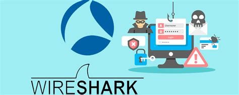 Cursos En Udemy Hacking Y Más Cursos Avanzados