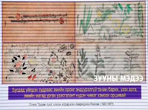 Фото Уламжлалт анагаах ухааны 108 боть төслөөр хэвлэсэн 50 боть номын нээлт боллоо