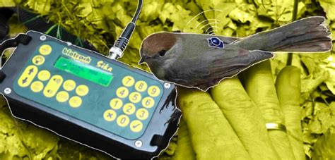 Underhyped Tech — Frontier Tech Hub