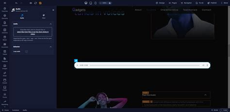 Adding Audio Files The Website Editor