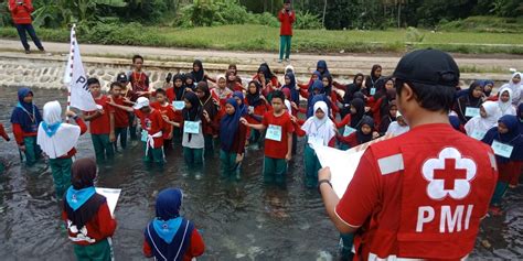 Tri Bakti Pmr Dan 7 Prinsip Pmr Talamus Id