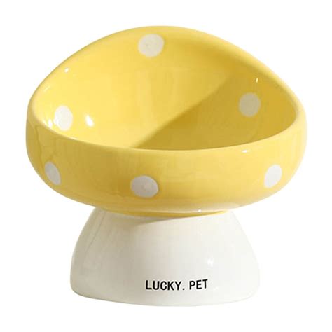 Elevated Ceramic Cat Dish For Whisker Fatigue And Spine Health With