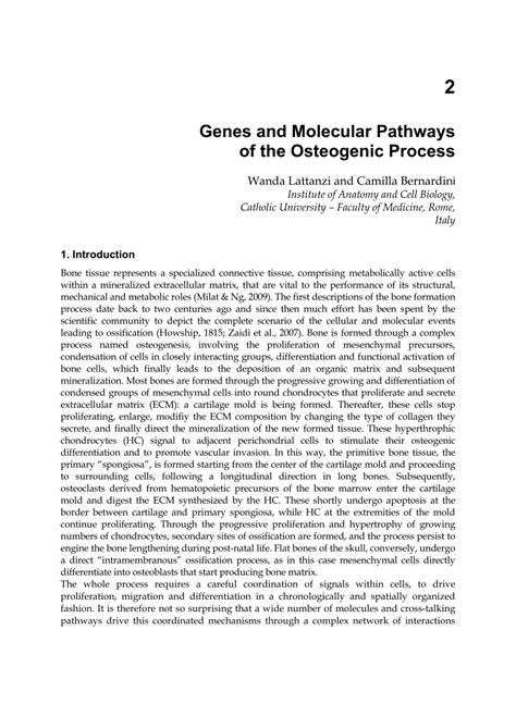 Pdf Genes And Molecular Pathways Of The Osteogenic Process