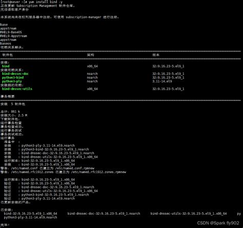 配置dns服务器:实现正反向解析步骤 Csdn博客 配置dns服务器:实现正反向解析步骤 Csdn博客
