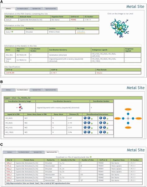 Overview Of The Results Of A Query To Metalpdb Using The Structure Download Scientific Diagram