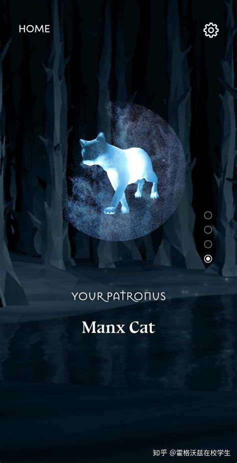 哈利波特守护神解读 哈利波特守护神图鉴 Pottermore守护神解析 第2页 大山谷图库