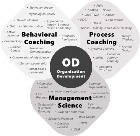 Agile Organization Development Team Coaching Experts