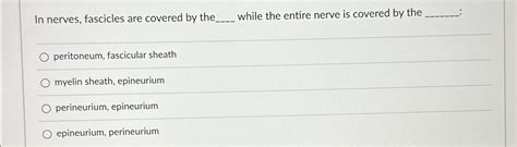 Solved In Nerves Fascicles Are Covered By The While The