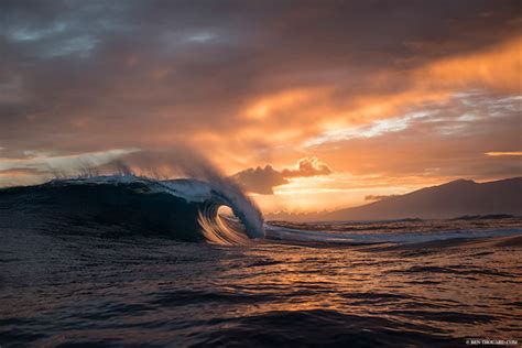 Photographer Spends Hours In Open Waters To Capture Exquisite Moments