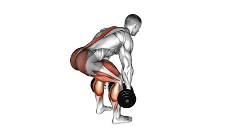 10 Effective Chair Exercises For Seniors To Lose Belly Fat A Step By Step Guide Workout Guru