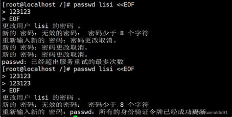 Shell脚本攻略：expect脚本免交互shell脚本中的expect免交互登录 简书 Csdn博客