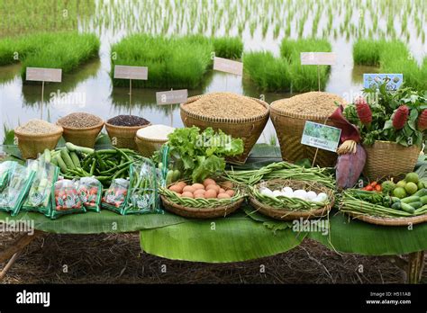 Agricultural Products India Tightens Control Of Agricultural