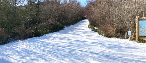 Linguistic Landscapes Roniel Fortuna Japan