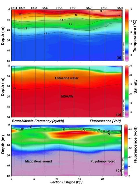 Vertical Distribution Of Top Temperature Middle Salinity And