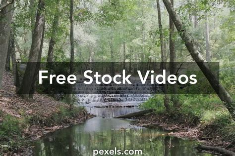 Stepdaddaughtershower Videos Download The Best Free 4k Stock Video