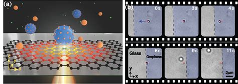 Optical Tweezers Explained