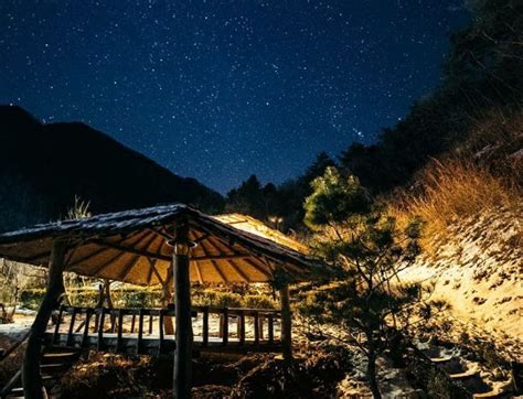 도심 떠나 자연 속 힐링新여름 휴가 트렌드 촌캉스 눈길