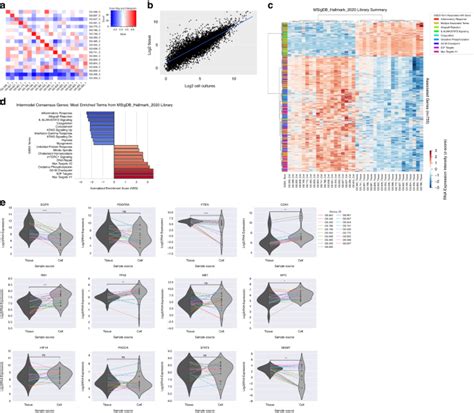 离体药物敏感性筛查可预测胶质母细胞瘤患者对替莫唑胺的反应并确定候选生物标志物 British Journal Of Cancer X Mol