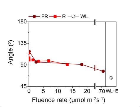 Adventitious Root Emergence And The Growth Angle Of Adventitious Roots Download Scientific
