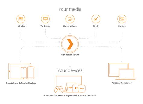 What Is Plex Plex Support