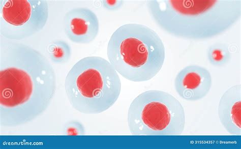 Embryonic Stem Cell Human Cell Stock Illustration Illustration Of