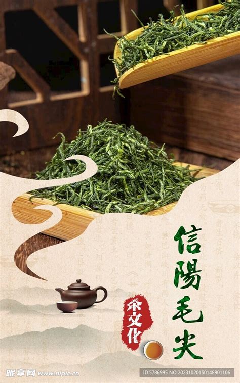 信阳毛尖设计图 海报设计 广告设计 设计图库 昵图网