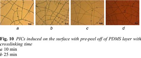 Figure 1 From Design And Fabrication Of Pdms‐based Electrostatically Actuated Mems Cantilever